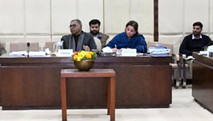 Senate panel discusses reported irregularities in Sindh’s solar project
