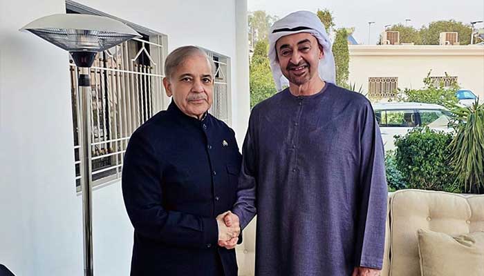 PM meets UAE president in Rahim Yar Khan, Dar phones Saudi FM