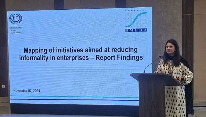 Cabinet appoints Nadia Jahangir Seth as SMEDA chief executive