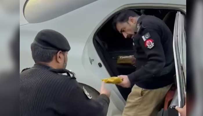 Bid to smuggle hashish foiled