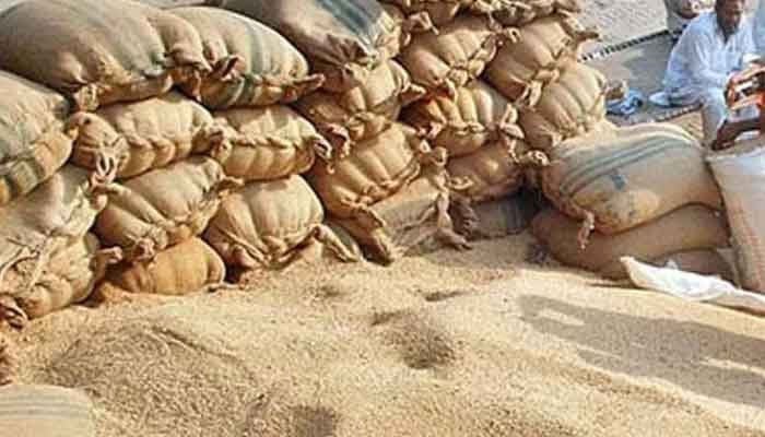 Punjab urged to lift ban on wheat