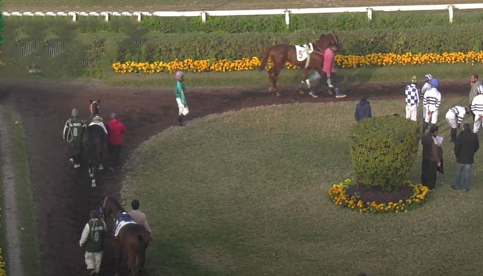 Shalimar Cup main event in today’s Lahore races