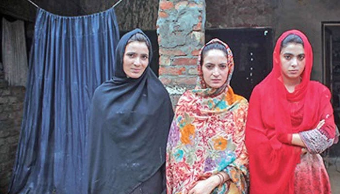 PBS survey says: One out of four highly educated women unemployed