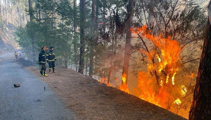 Wildfires continue to ravage Malakand, Mansehra forests