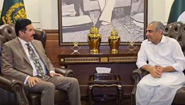 Naqvi meets KP governor