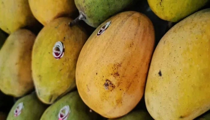 Middle East crisis, climate challenges slash mango export target by 30pc