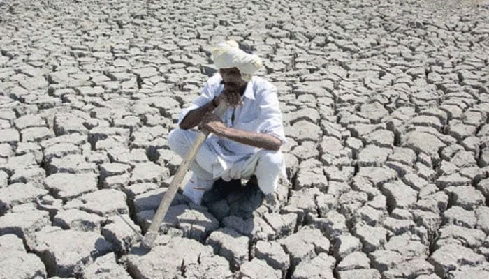 Sindh growers, SIDA blame Irsa for acute water shortage, demand reforms