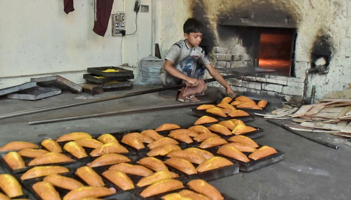 Govt urged to eliminate child labour