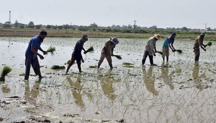 Agriculture gets words, not money in Budget 2026-27