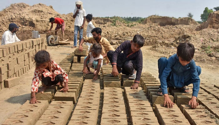 Over 6.6m Pakistani children trapped in hazardous labour, says NCHR