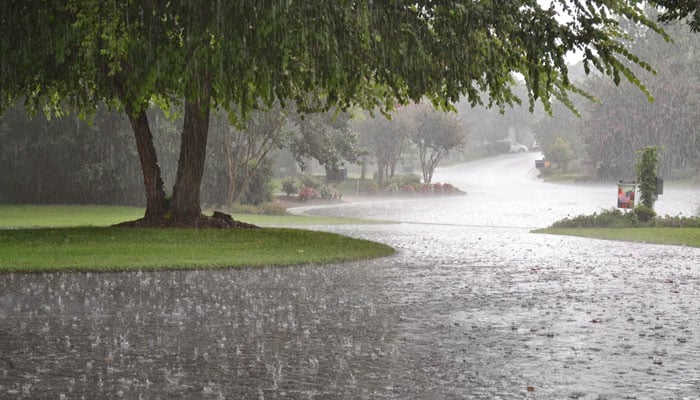 Rain turns weather pleasant in Swat