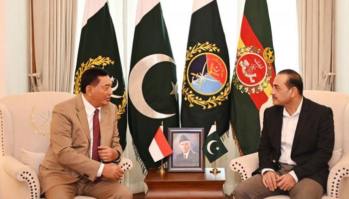 Pakistan, Indonesia reaffirm commitment to stronger defence ties